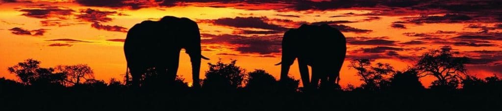 Hlatikulu Bush Lodge - Hluhluwe Game Reserve