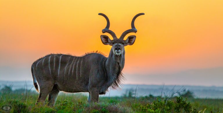 Glorious Cape Vidal 2022-23